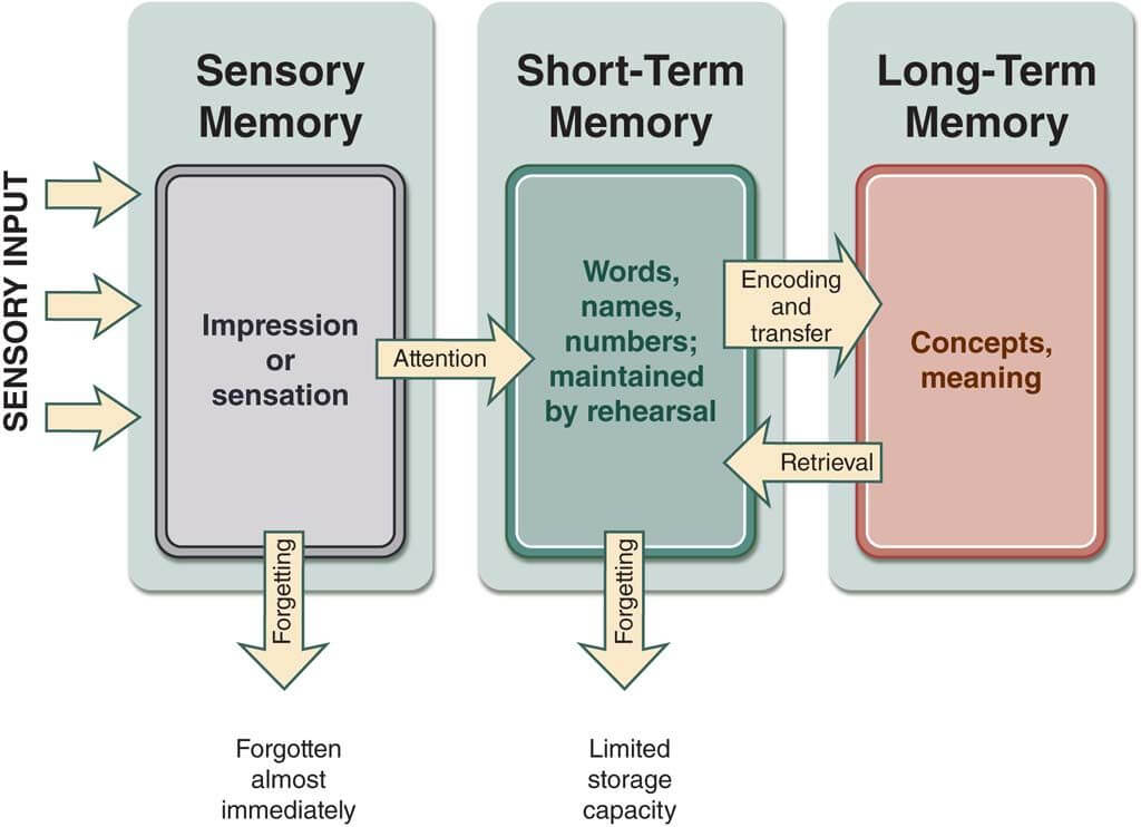 8 Effective Memorization Techniques